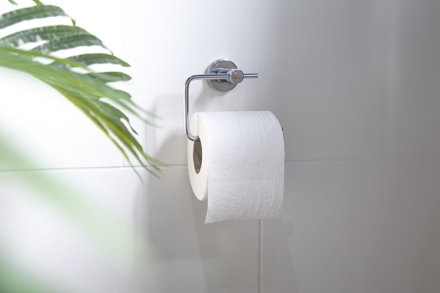 Plastic Free Toilet Paper - My Oceans
