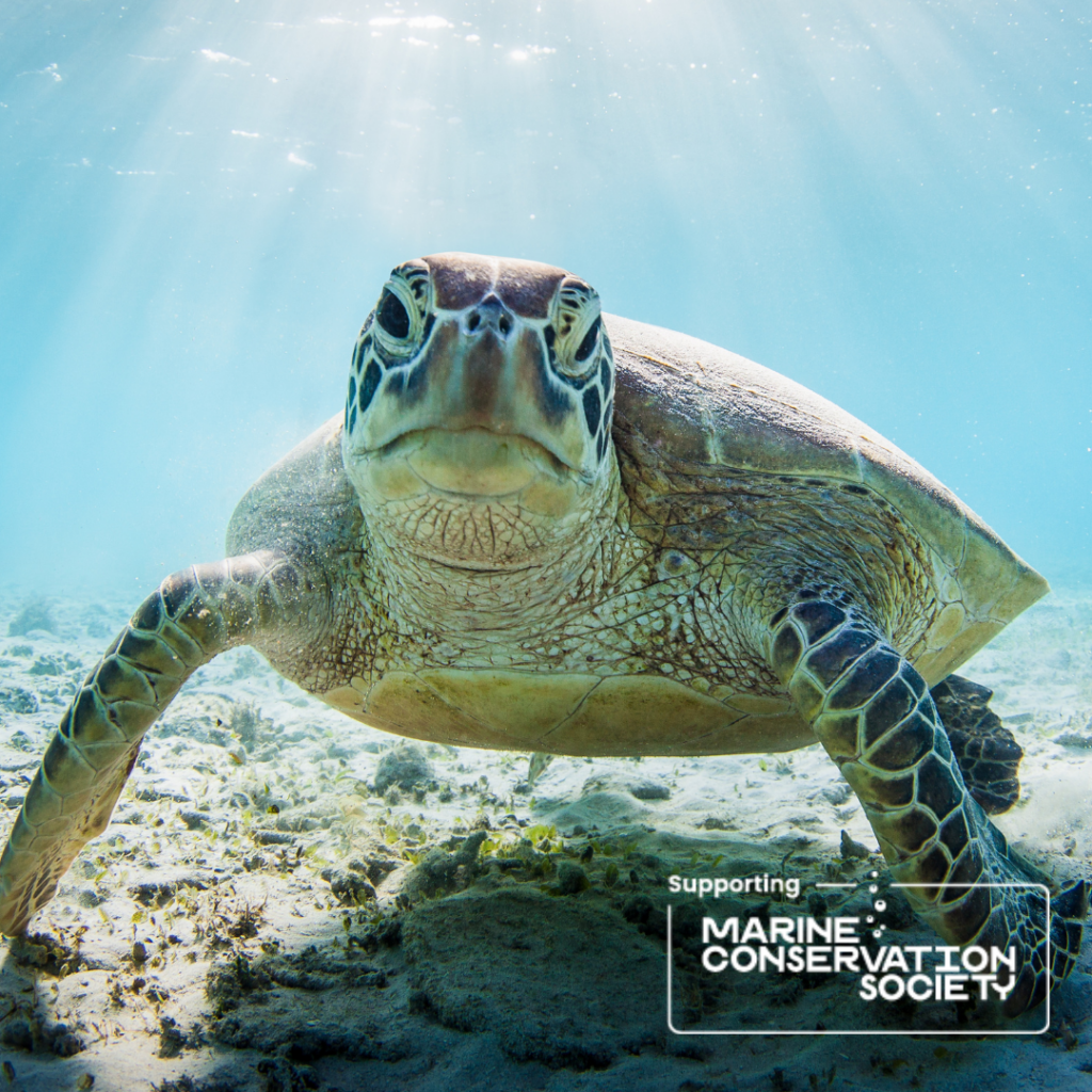 Our Impact | Let's Make An Ocean Of Difference | My Oceans